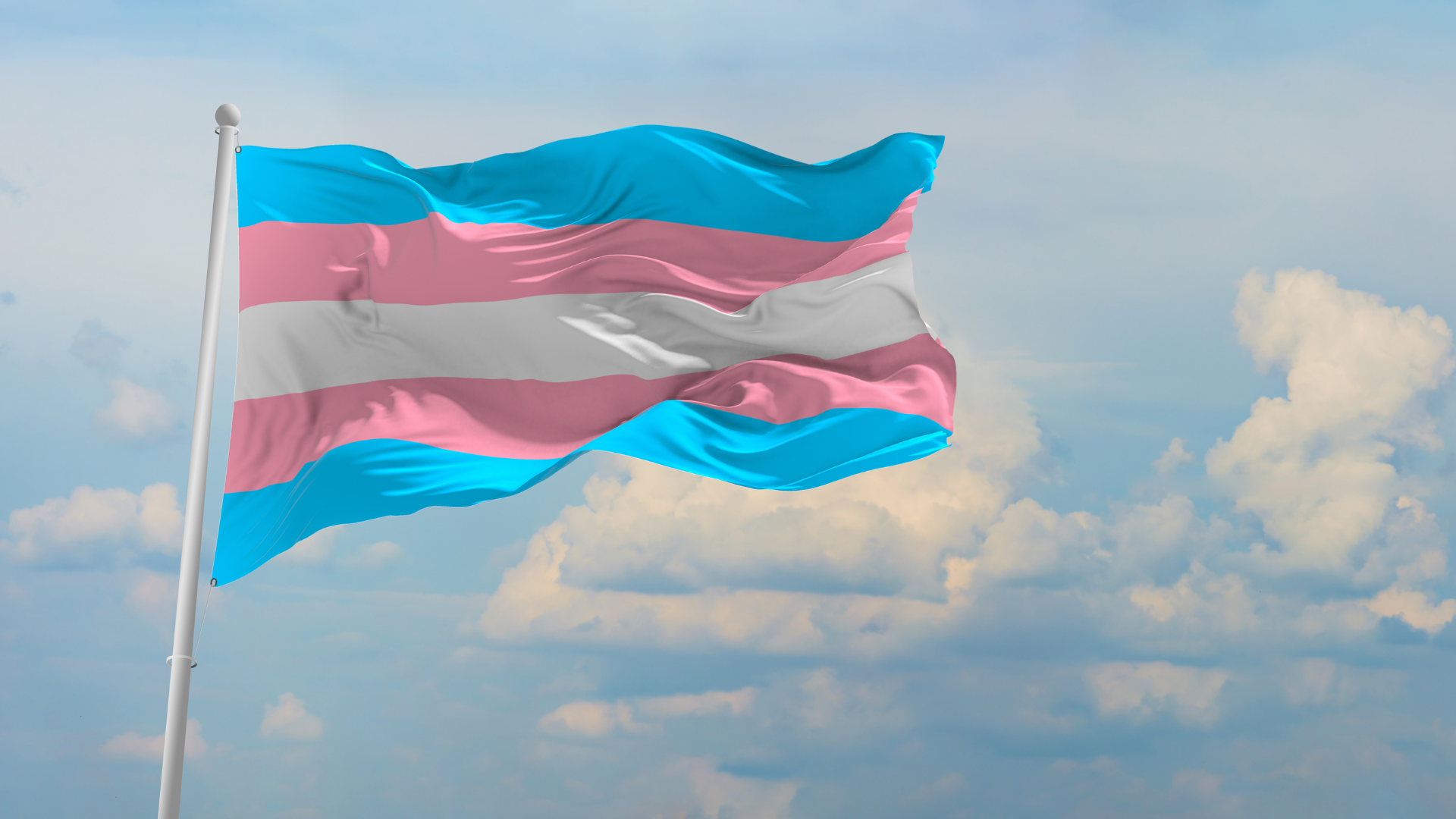 Our statement for Trans Awareness Week - Kaleidoscope Trust